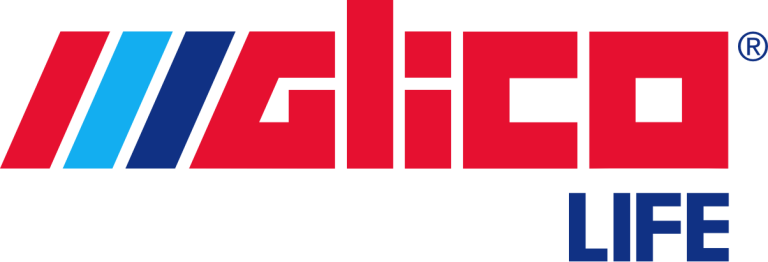 Our Companies – GLICO Group